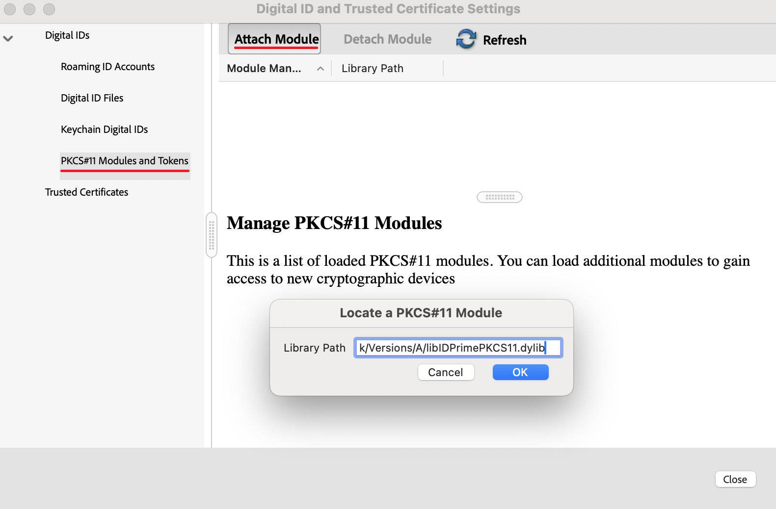  AdobeAcrobatMacOS3 png Infonotary